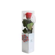 Two Dozen Long Stemmed Roses Sel Florist Manor Park London